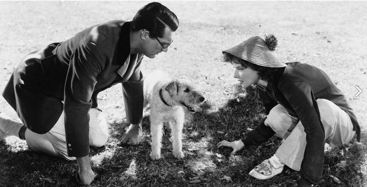 Screwball Comedy When Hollywood Went Mad - Wichita Films